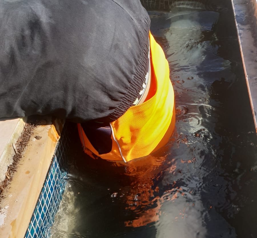 Electricians Christchurch Residential and Commercial covering Canterbury